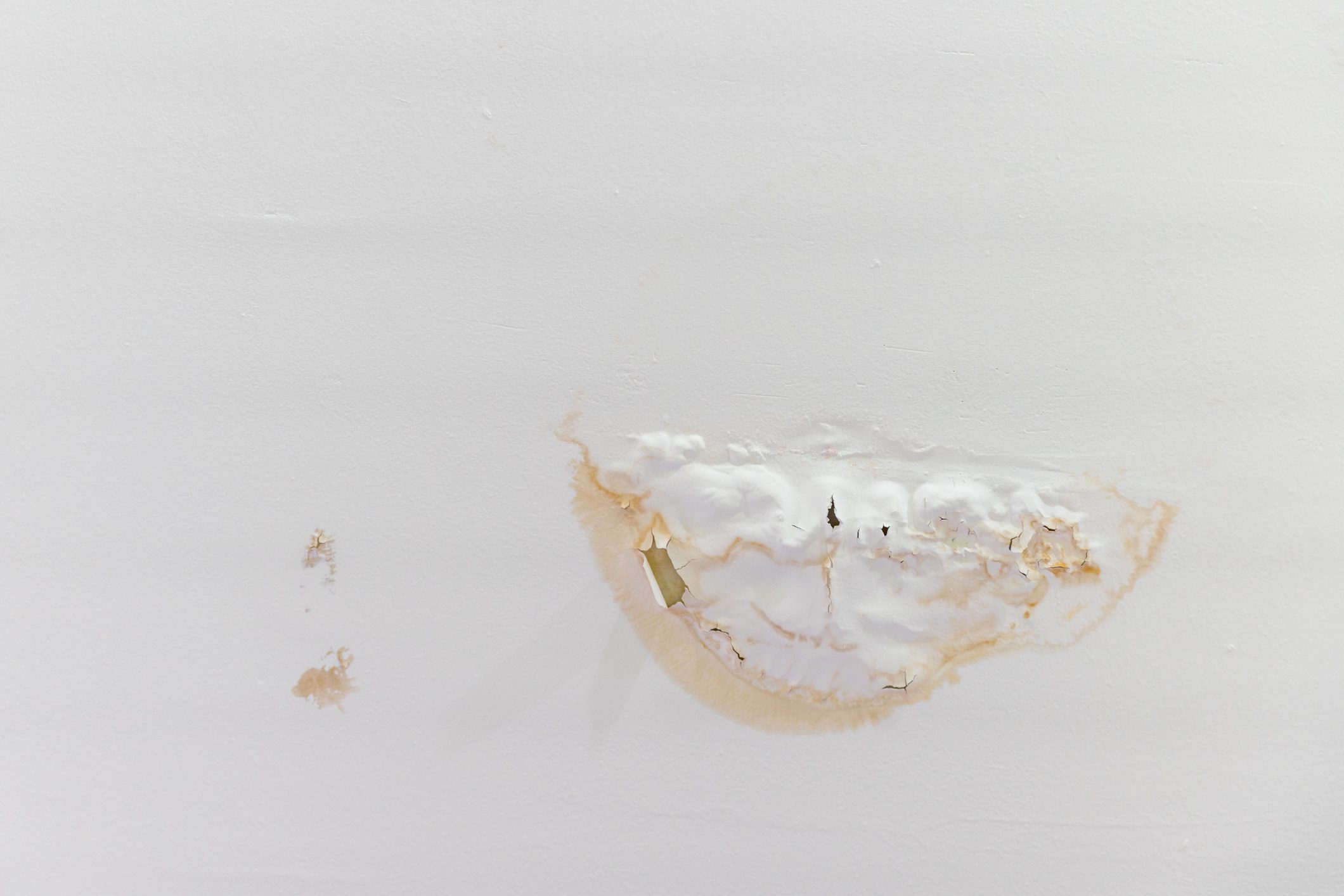 Ceiling Water Damage Repair | Signs, Causes & What to Do Next - NYTDR